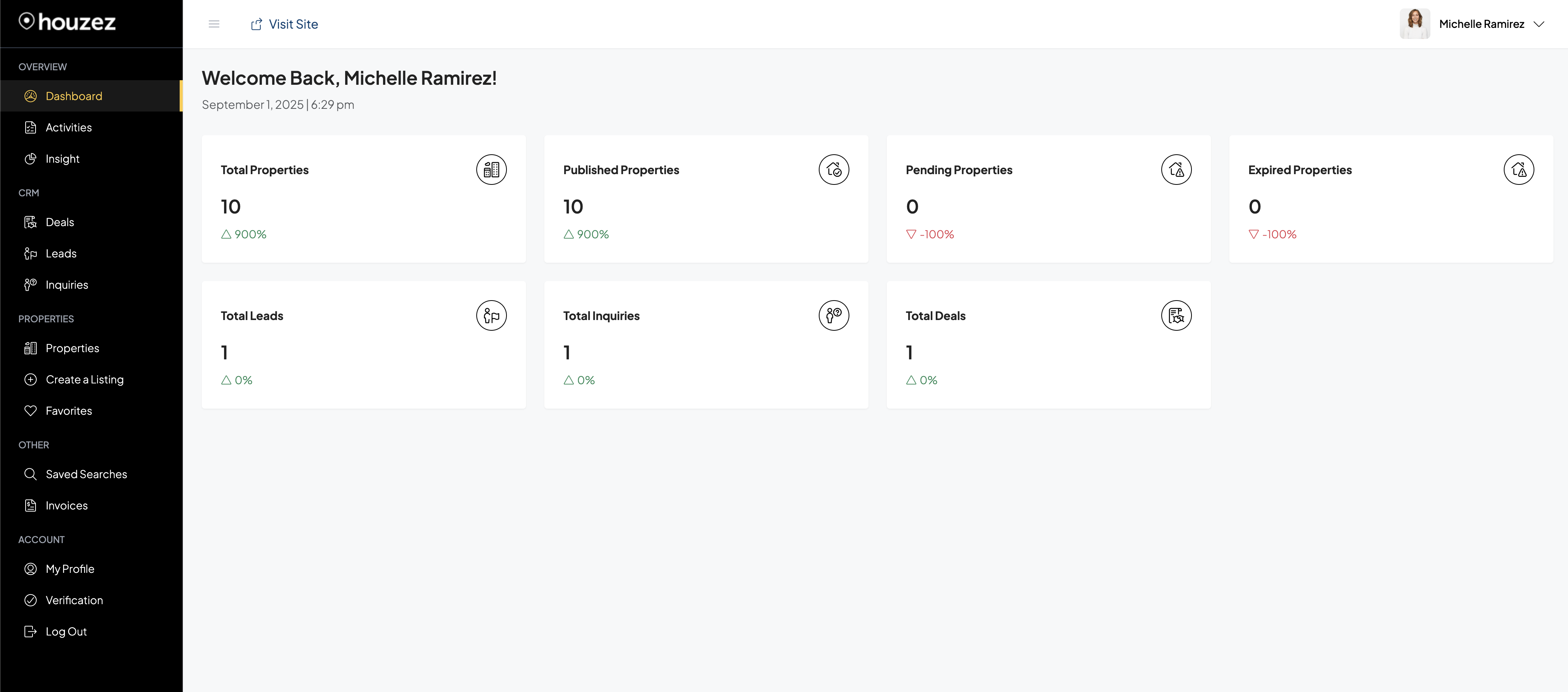 Agent Dashboard - Overview – favethemes